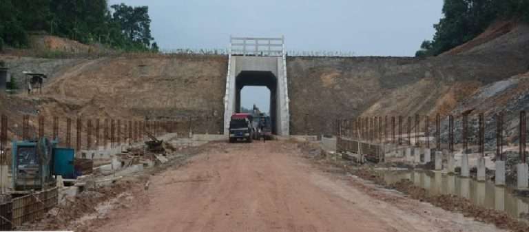Elephants will cross the railway through the overpass | Elephant ...